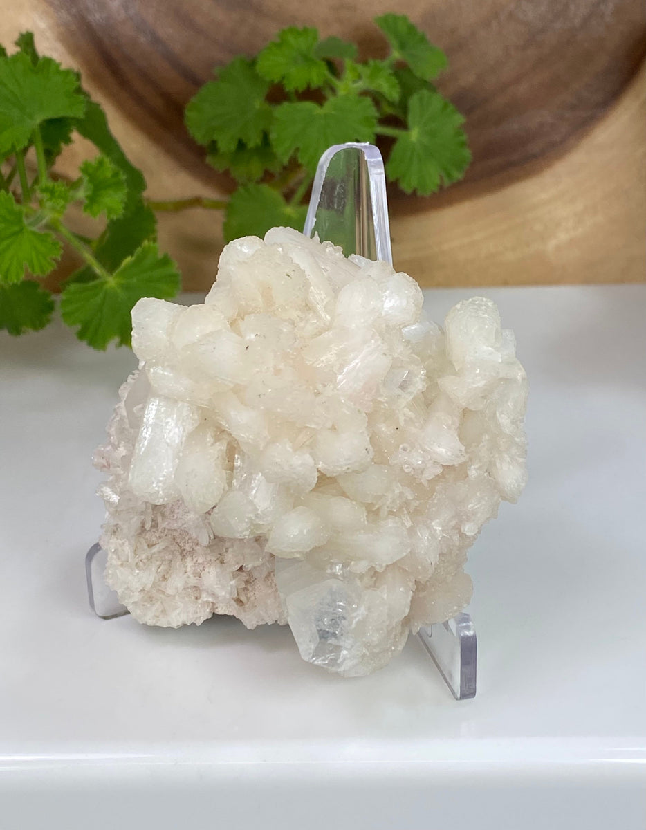 Stilbite Crystals w/ Apophyllite in Matrix from Nashik, India - Natura ...