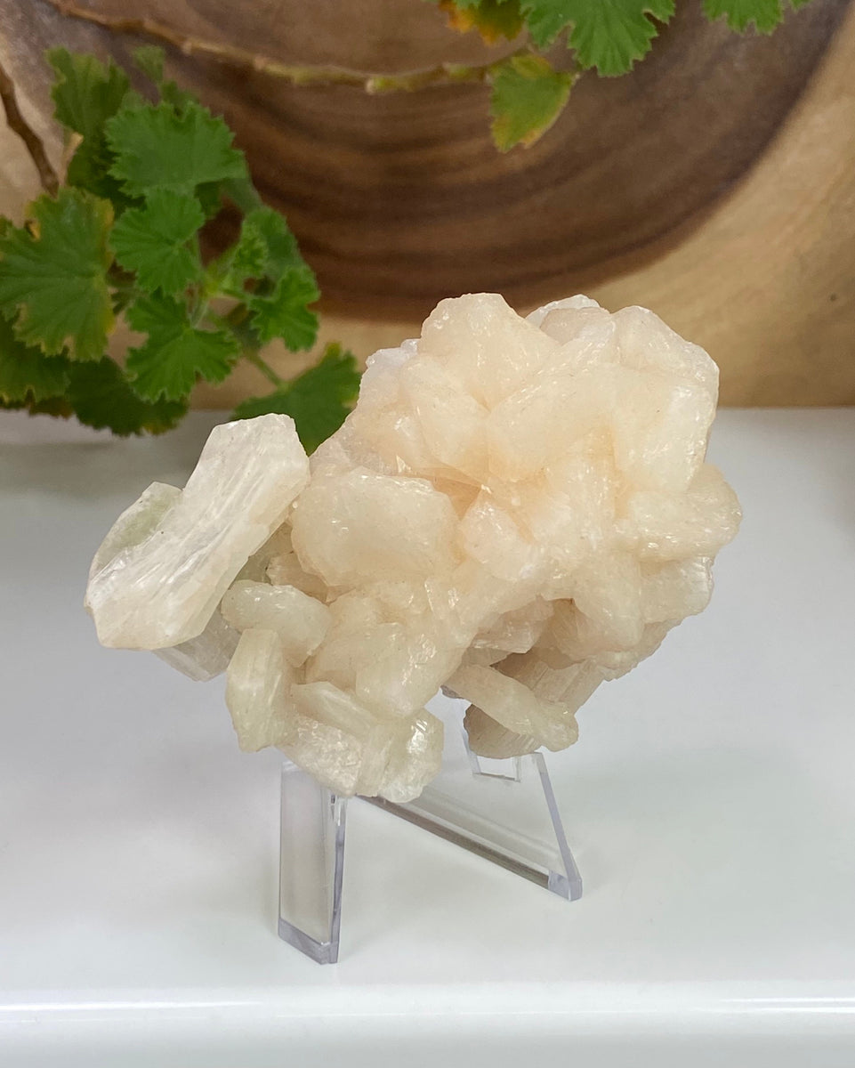 Stilbite Crystals w/ Apophyllite in Matrix from Nashik, India - Natura ...