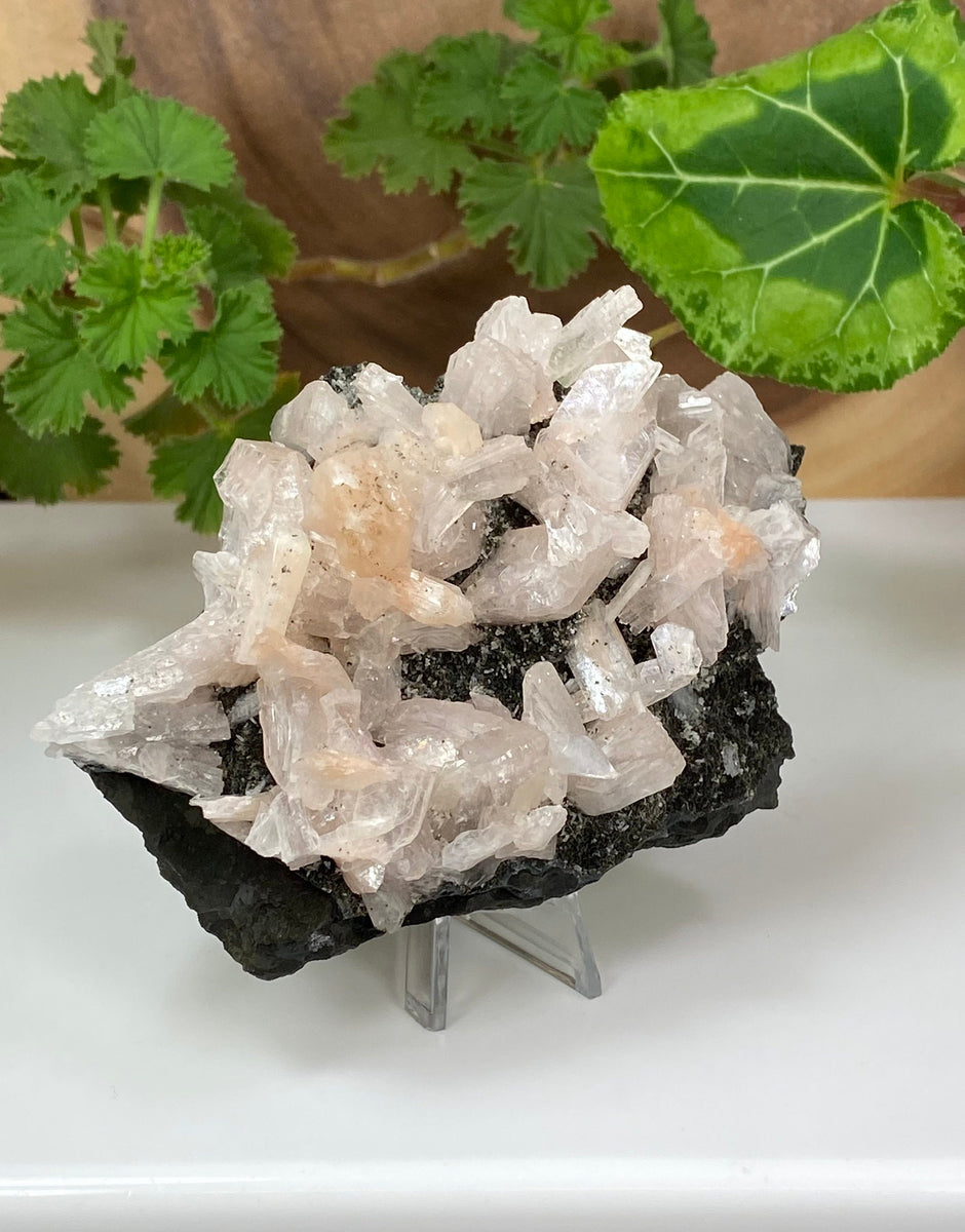 Gem Heulandite Crystals w/ Peach Stilbite in Matrix from Nashik, India ...