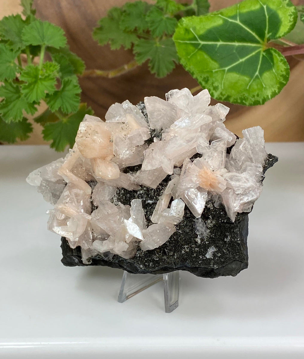 Gem Heulandite Crystals w/ Peach Stilbite in Matrix from Nashik, India ...