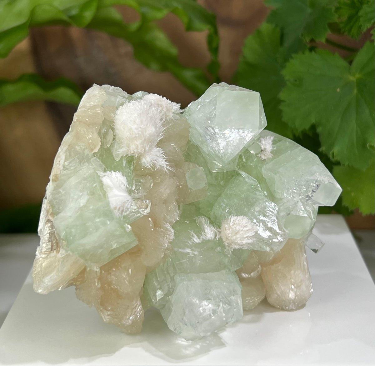 Green Apophyllite with Stilbite Crystals and Mordenite from Nashik, In ...