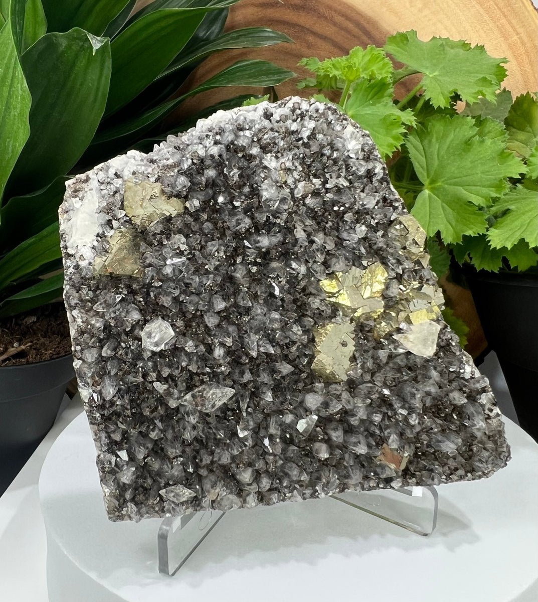 Included Calcite Crystals w/ Clear Calcite + Golden Pyrite in Matrix ...