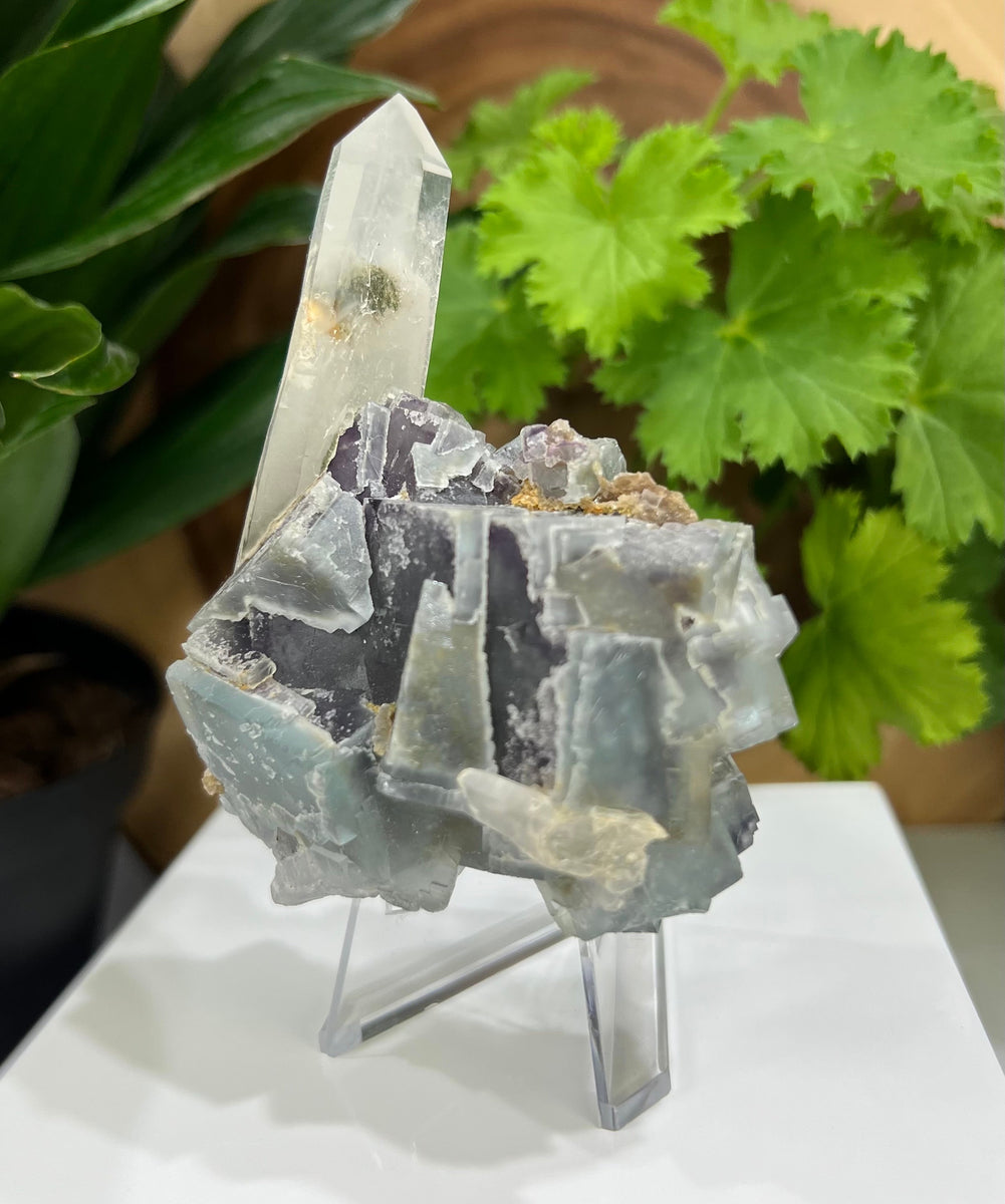 Fluorite Cluster with Terminated Chlorite Included Quartz from The Hun ...